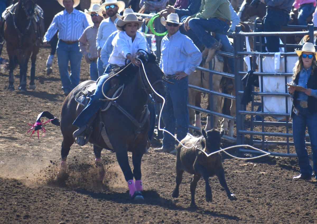 LLOYD: High school rodeo highlights toughness and kindness despite ...